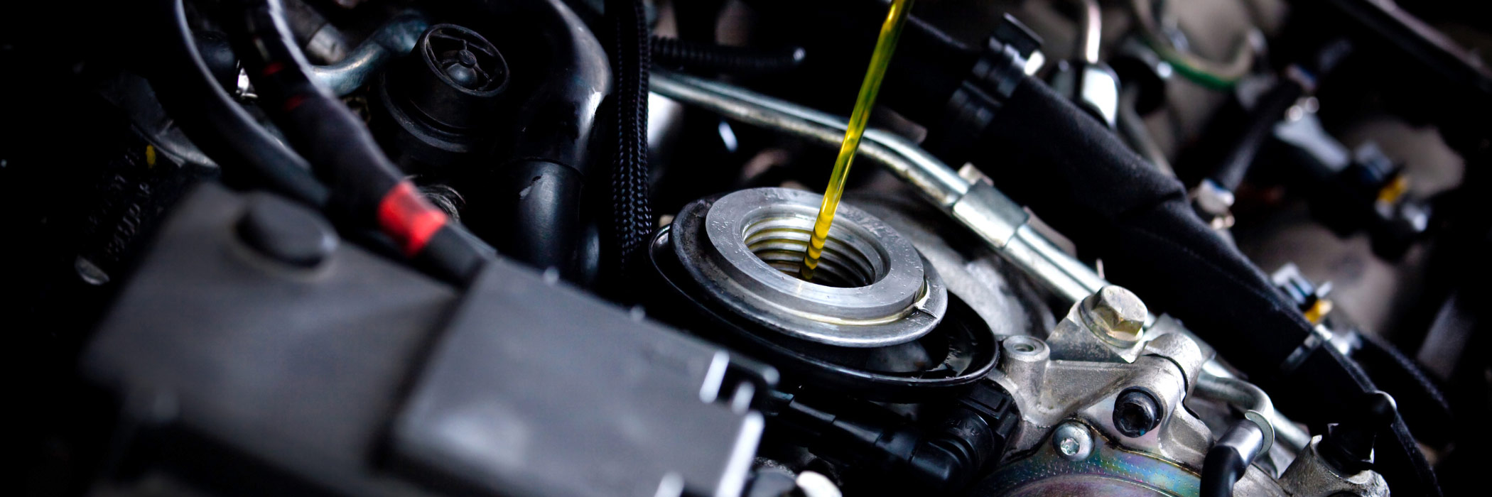 Fluid System Protection | DSG-Canusa